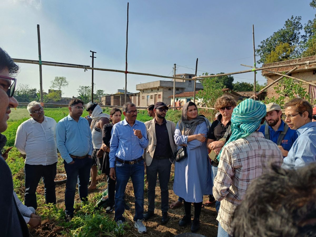 Advancing Sustainable Farming: Zero Tillage Potato Production Showcased ...