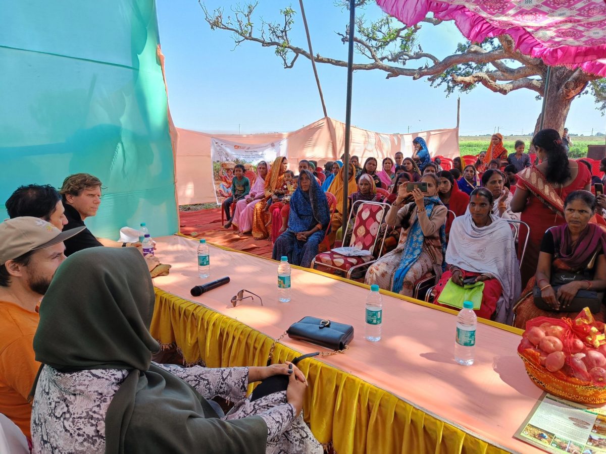 Advancing Sustainable Farming: Zero Tillage Potato Production Showcased ...