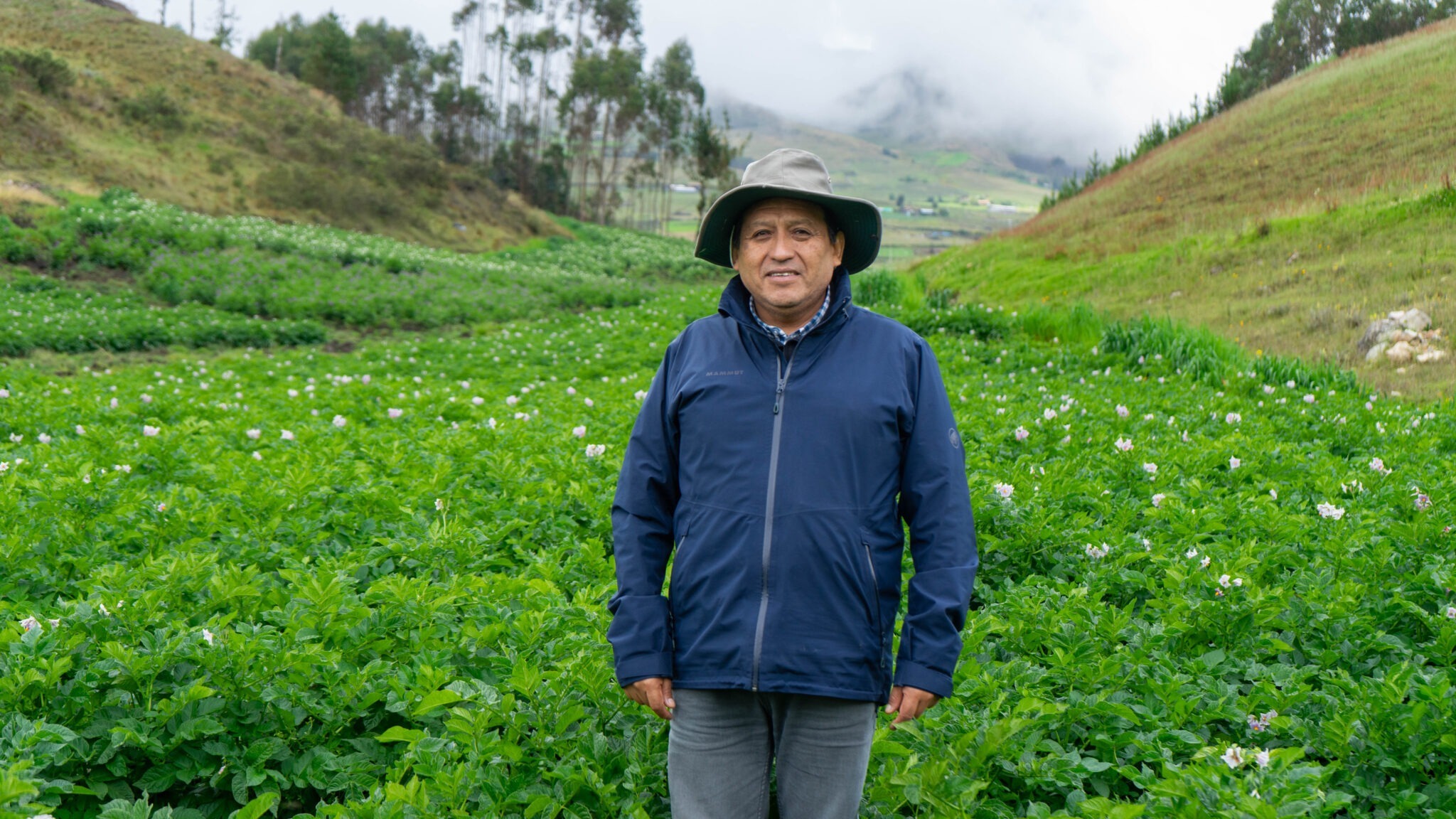 Empowering Potato Farming: CIP’s Breakthrough Varieties Spearhead Peru ...